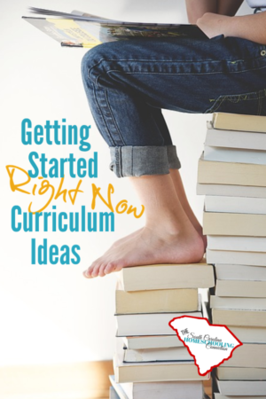 Getting Started: Curriculum Ideas