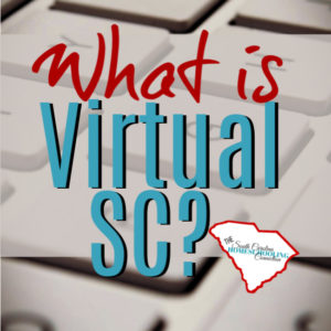 Profile of a South Carolina Graduate